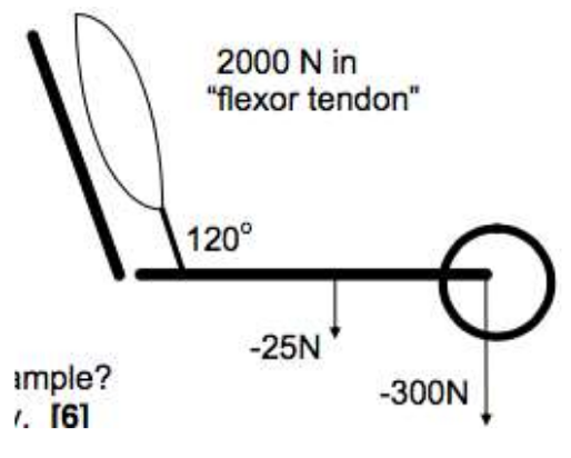 Solved A) The 2kg load at A is supported by the forearm and | Chegg.com