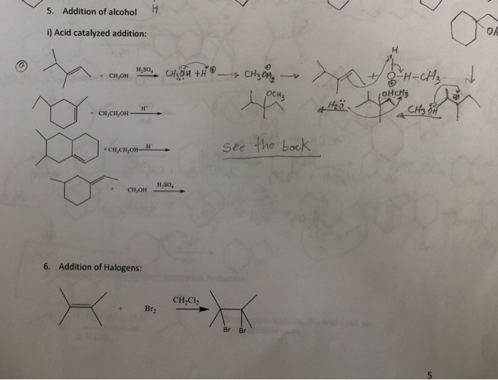 Solved 5. Addition of alcohol H Of i) Acid catalyzed | Chegg.com
