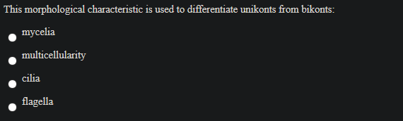 Solved This morphological characteristic is used to | Chegg.com