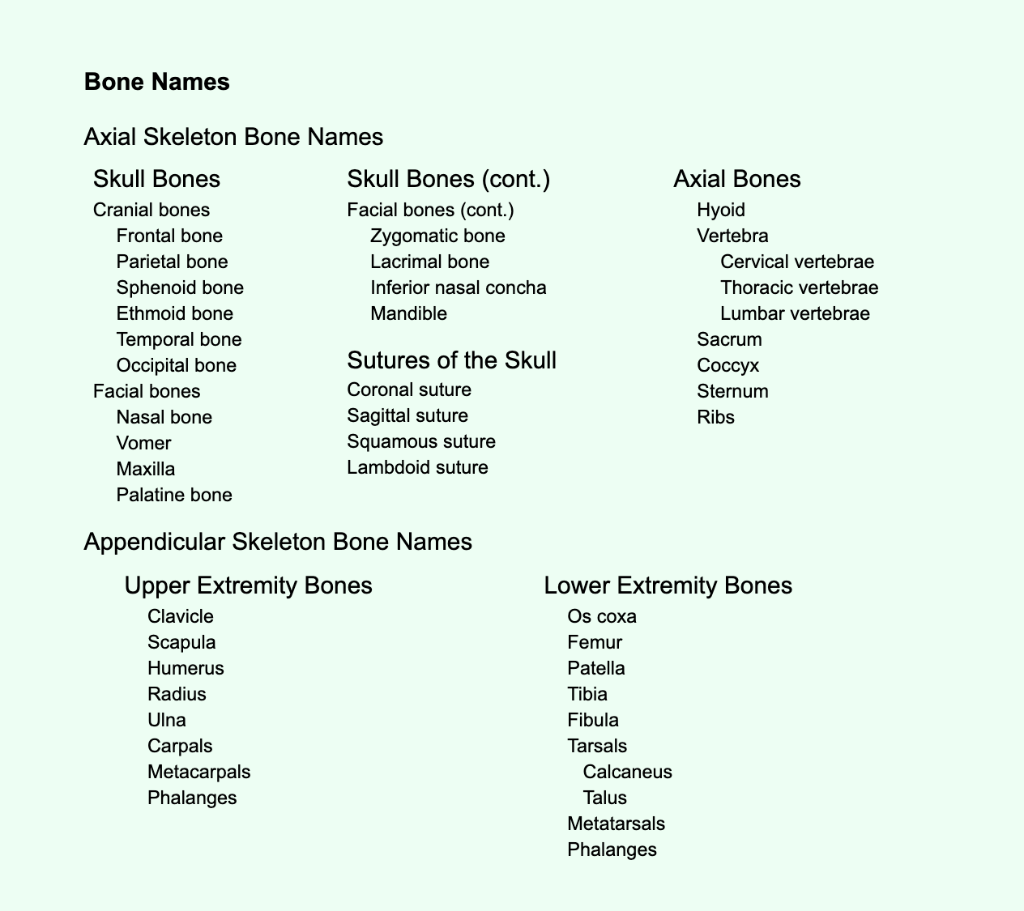 Solved Bone Names Axial Skeleton Bone Names Skull Bones | Chegg.com