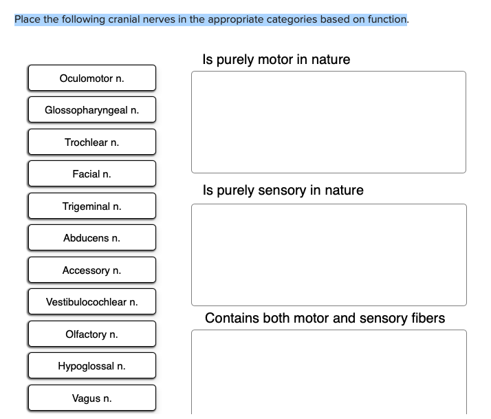 Solved Place the following cranial nerves in the appropriate | Chegg.com