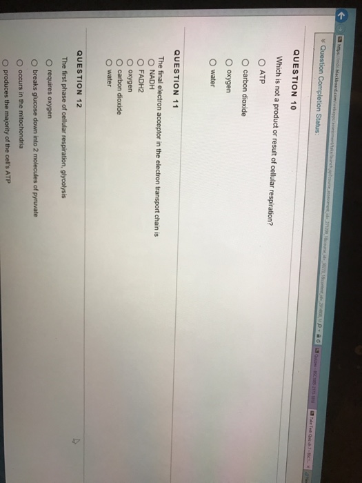 Solved Question Completion Status: QUESTION In the absence | Chegg.com