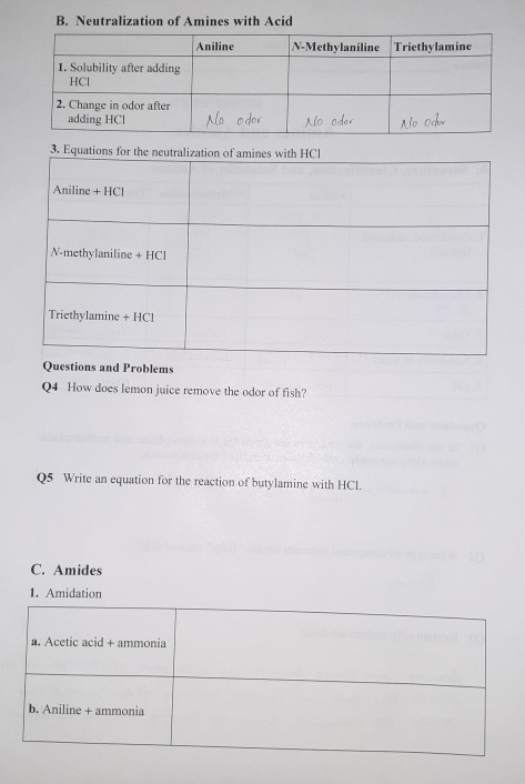 Solved B. Neutralization of Amines with Acid Aniline | Chegg.com