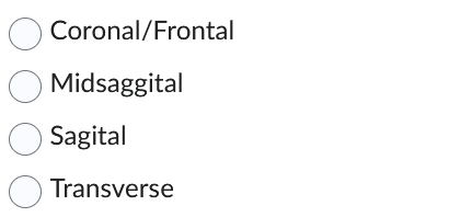 Solved The correct order of structures from most superficial | Chegg.com