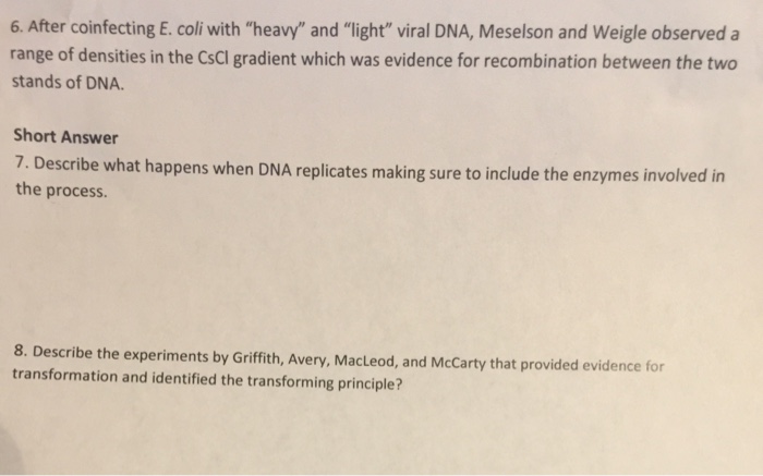 Solved After coinfecting E. coli with "heavy" and "light" | Chegg.com
