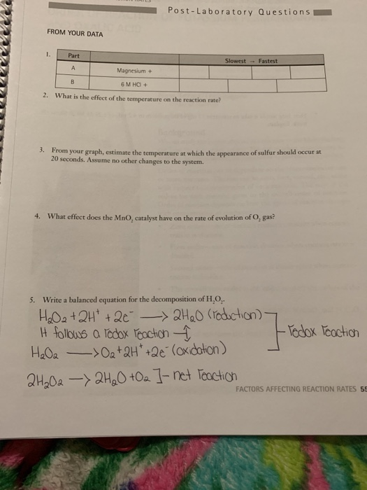 EXPERIMENT 5 FACTORS AFFECTING REACTION RATES Report | Chegg.com EXPERIMENT 5 FACTORS AFFECTING REACTION RATES Report | Chegg.com