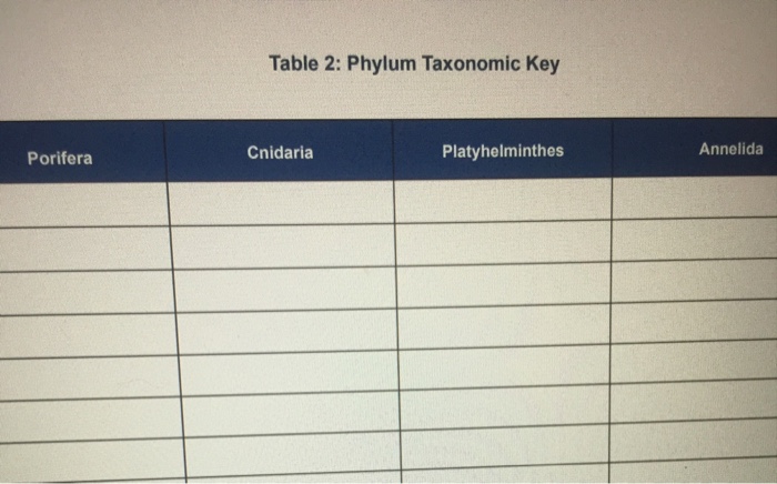Solved Table 1: Phylum Characteristics Table A Bilateral | Chegg.com