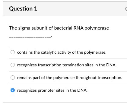 Solved Question 1 The sigma subunit of bacterial RNA | Chegg.com