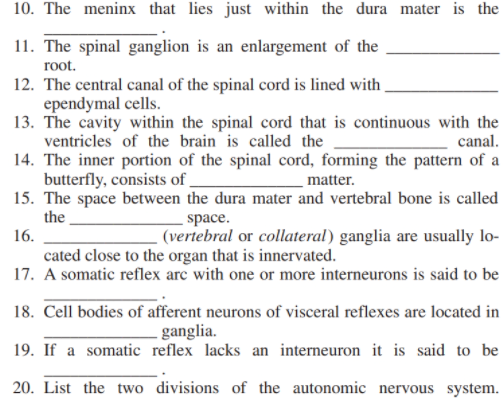 Solved 10. The meninx that lies just within the dura mater | Chegg.com
