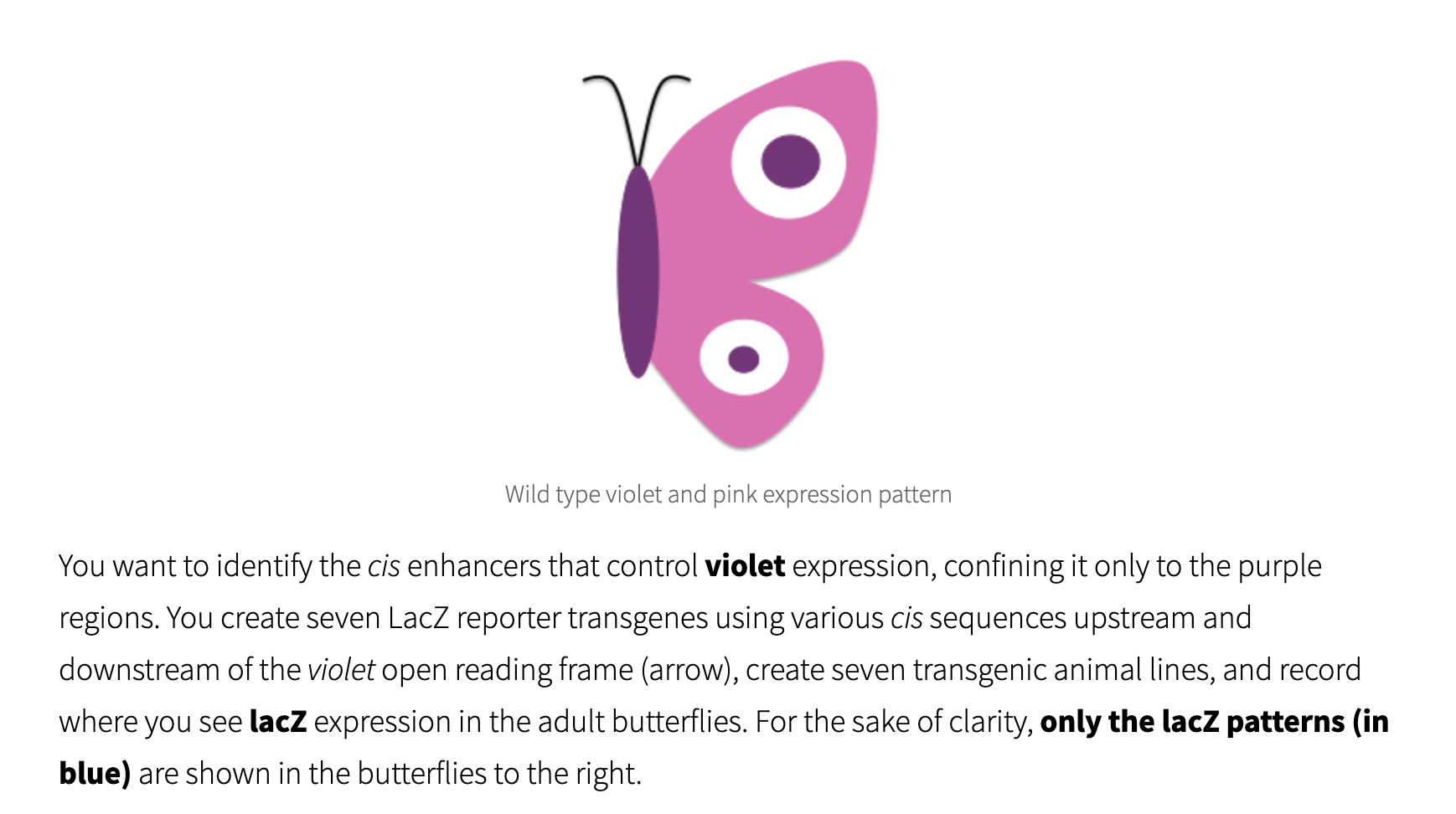 Solved In a fanciful species of butterfly, pigmentation | Chegg.com