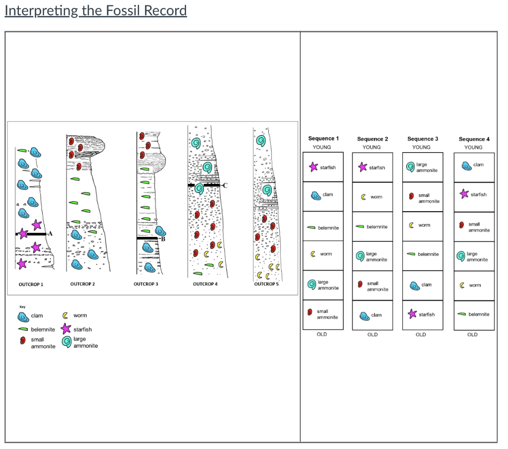Solved Above are illustrations of five rock sequences taken | Chegg.com