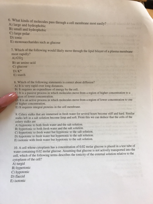 Solved 6. What kinds of molecules pass through a cell | Chegg.com