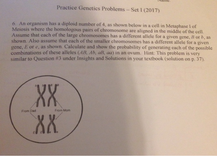 Solved Practice Genetics Problems -Set I (2017) 6. An | Chegg.com
