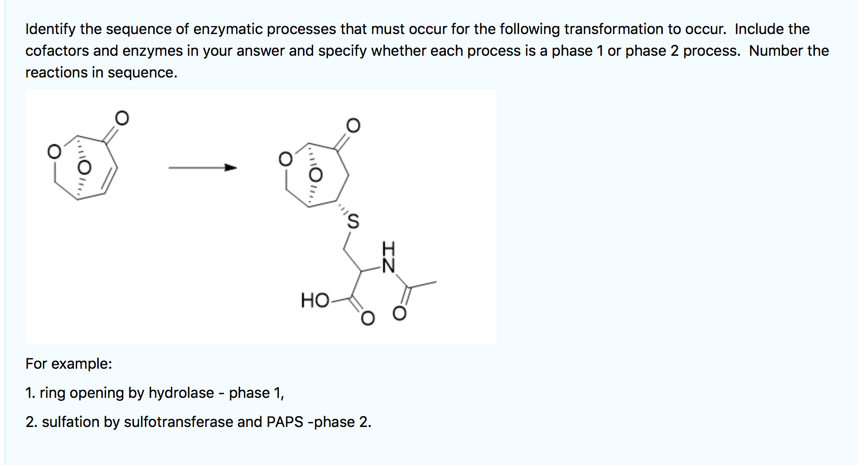 Solved Identify the sequence of enzymatic processes that | Chegg.com