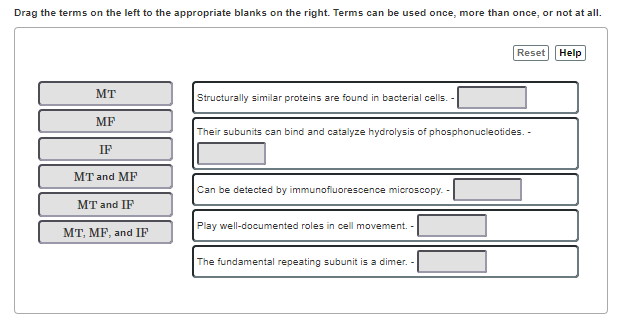 Solved Drag the terms on the left to the appropriate blanks | Chegg.com