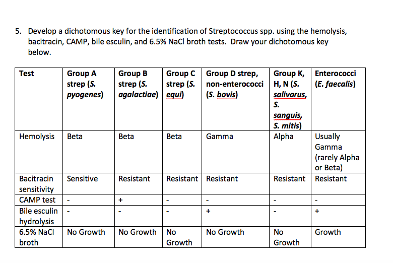 5. Develop a dichotomous key for the identification | Chegg.com