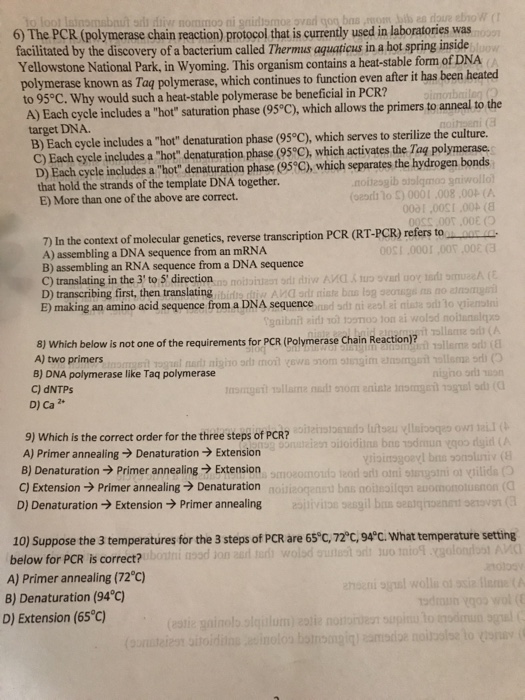 Solved The PCR (polymerase chain reaction) protocol that is | Chegg.com