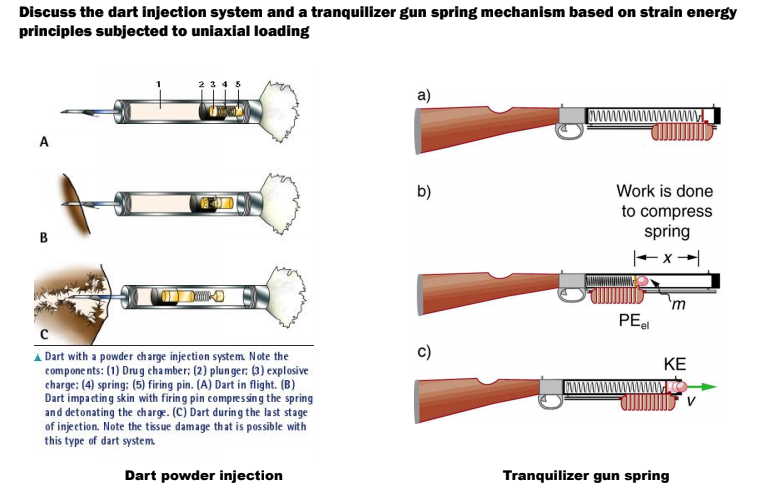Solved Discuss the dart injection system and a tranquilizer | Chegg.com