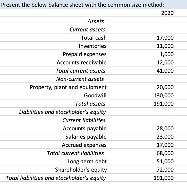 Solved Present the below balance sheet with the common size | Chegg.com