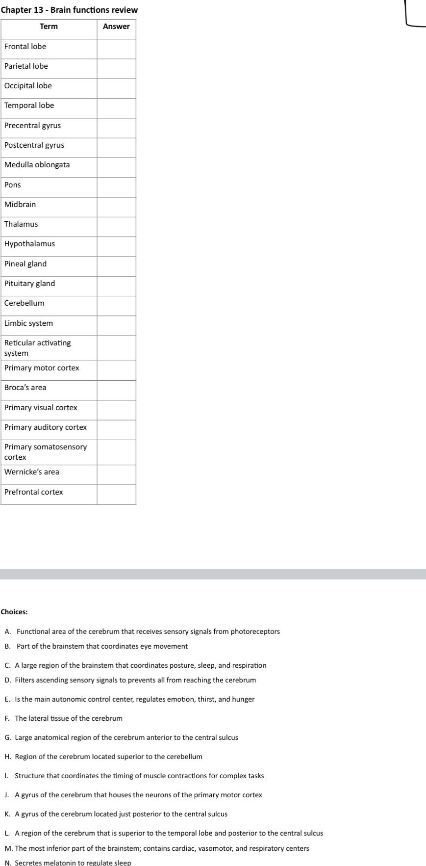 Solved Chapter 13 - Brain functions review Term Answer | Chegg.com