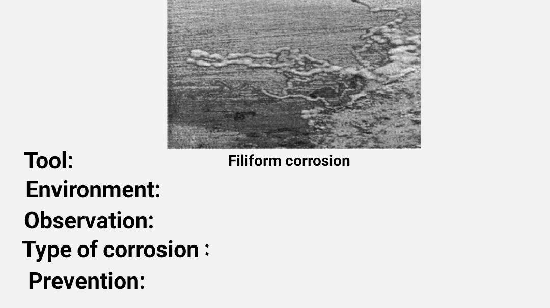 Solved Filiform corrosion Tool: Environment: Observation: | Chegg.com