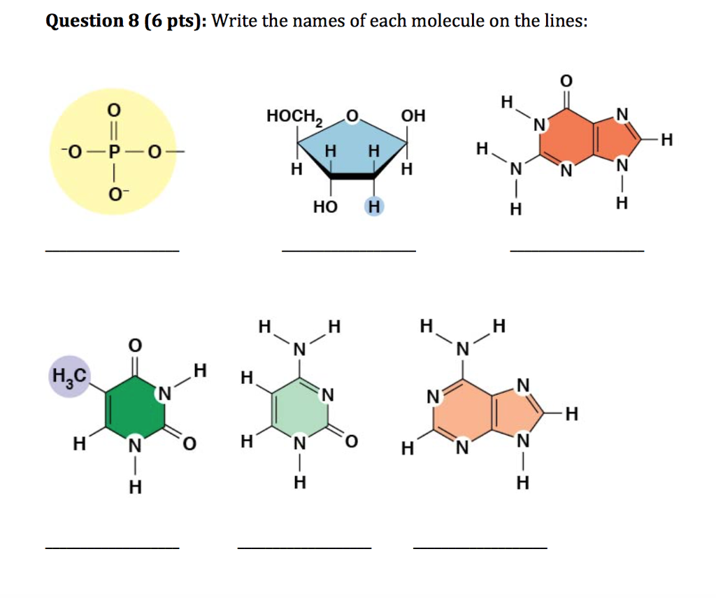 Solved Question 8 (6 pts): Write the names of each molecule | Chegg.com
