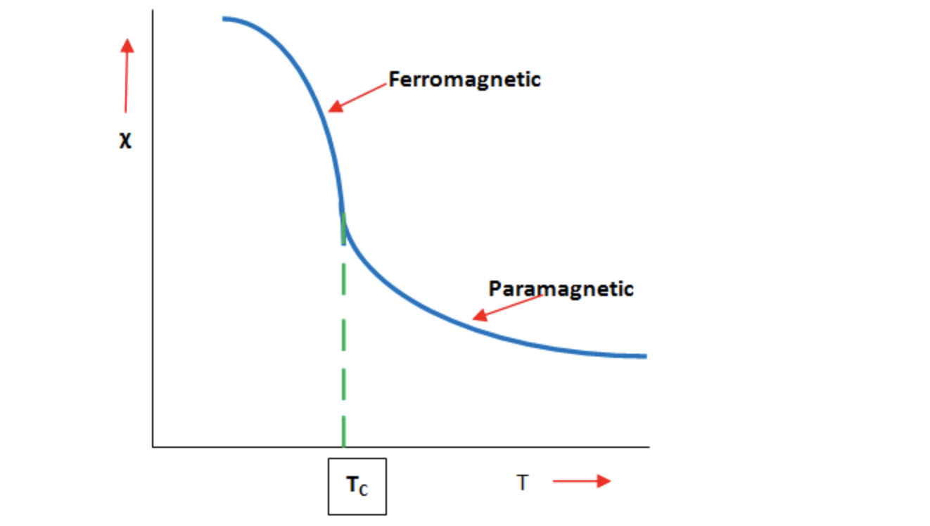 Solved Currently I'm doing the simulation of Ising Model | Chegg.com