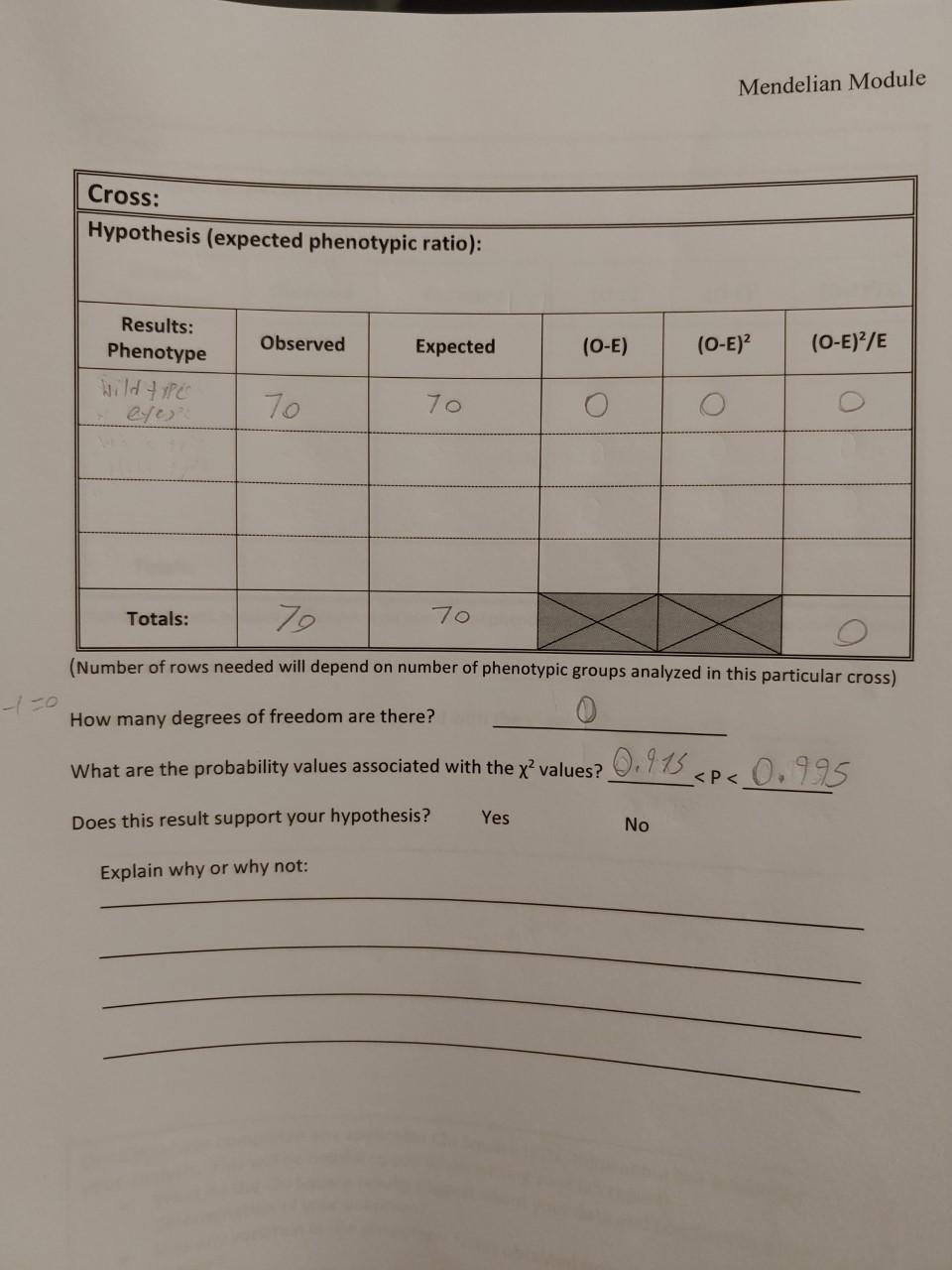 Solved I am struggling to correctly do this chi square in | Chegg.com