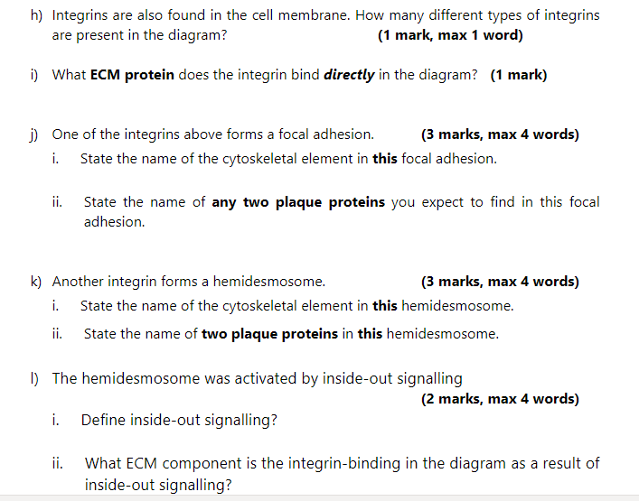 Solved tetramer lateral Col-VII 7S TH nidogen polymer | Chegg.com
