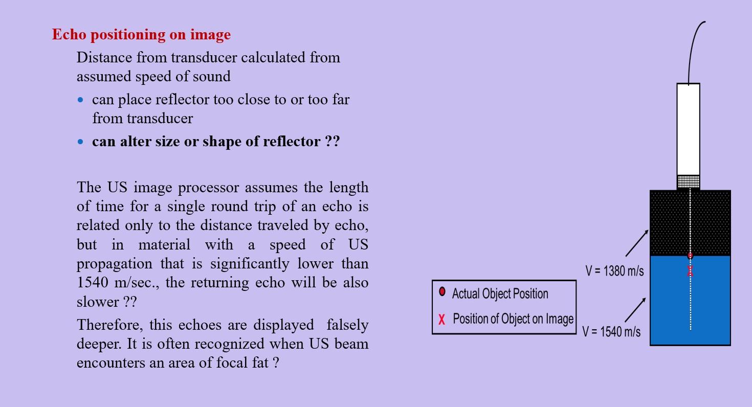 Solved Echo positioning on image Distance from transducer | Chegg.com