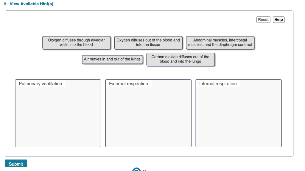 Solved View Available Hint(s) Reset Help Oxygen diffuses | Chegg.com