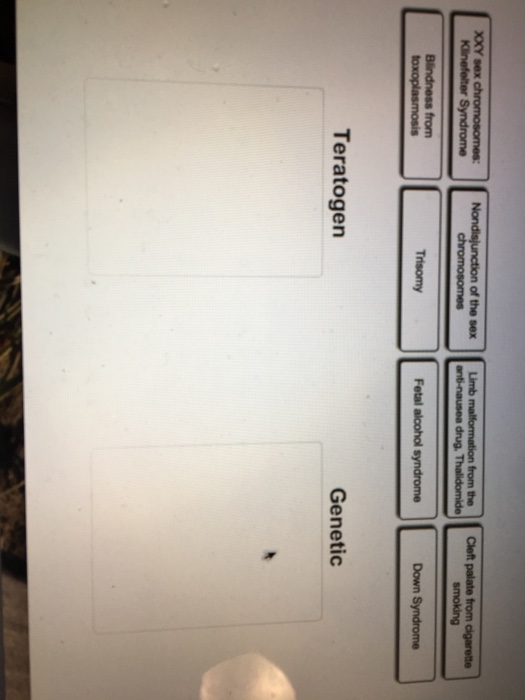 Solved Read each of the descriptions below then click and | Chegg.com
