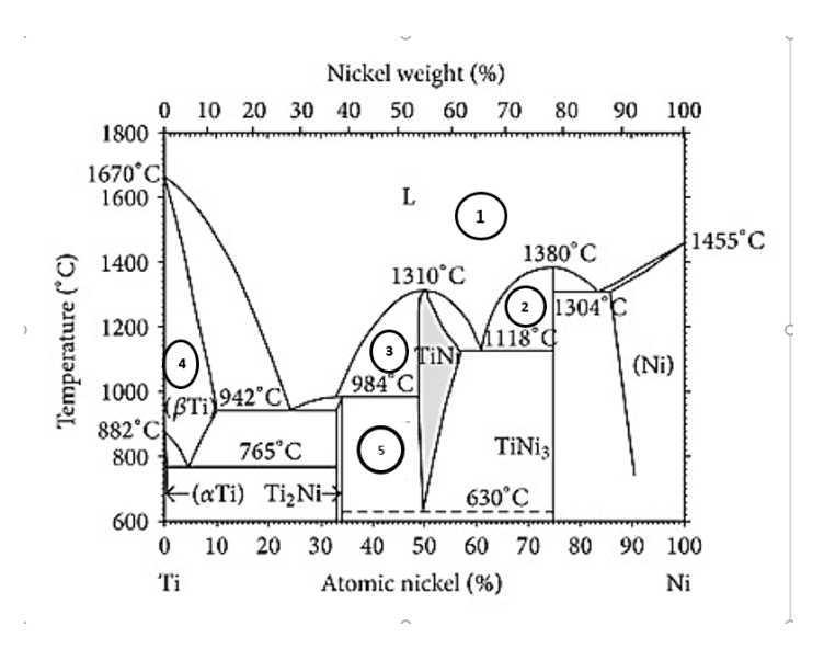 1. What are the two components for the phase diagram | Chegg.com