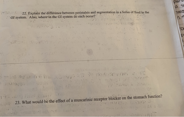 Solved . 22. Explain the difference between peristalsis and | Chegg.com