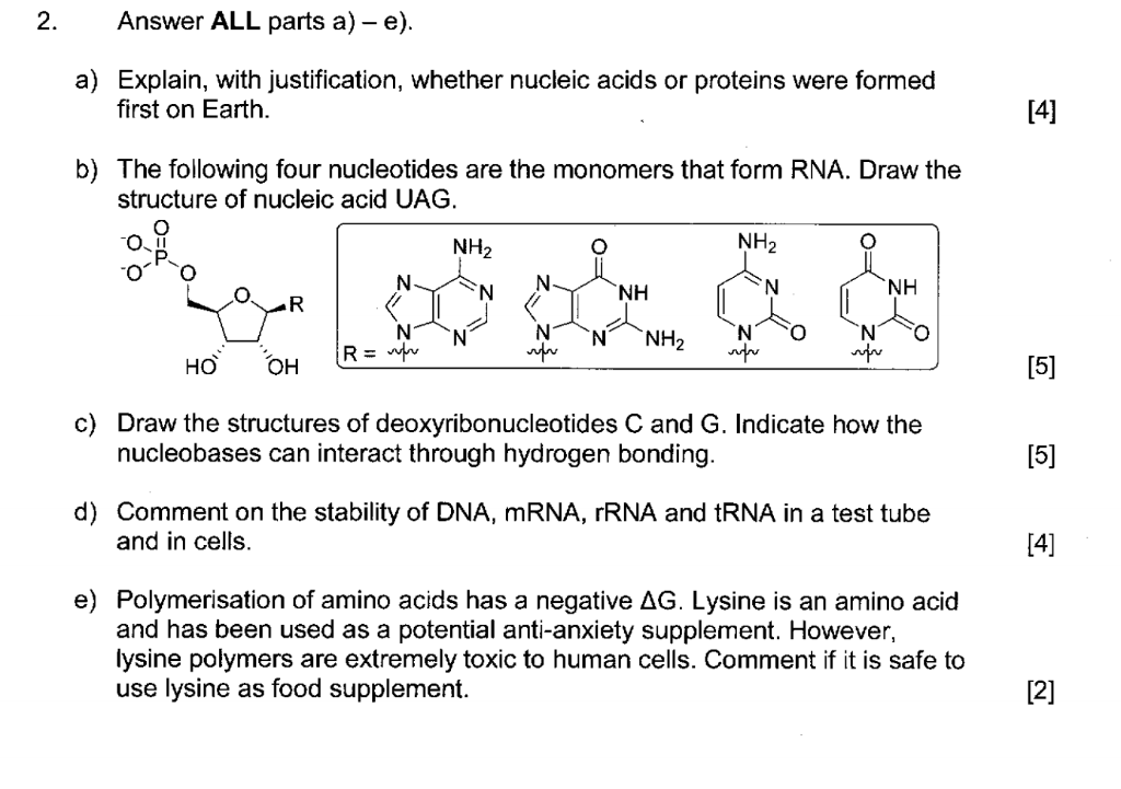 Structure Of Nucleic Acids Monomers