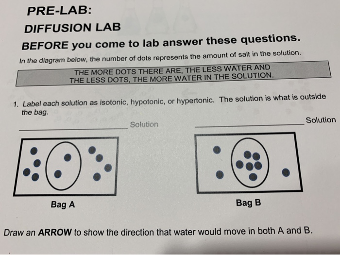 Solved PRE-LAB: DIFFUSION LAB BEFORE you come to lab answer | Chegg.com