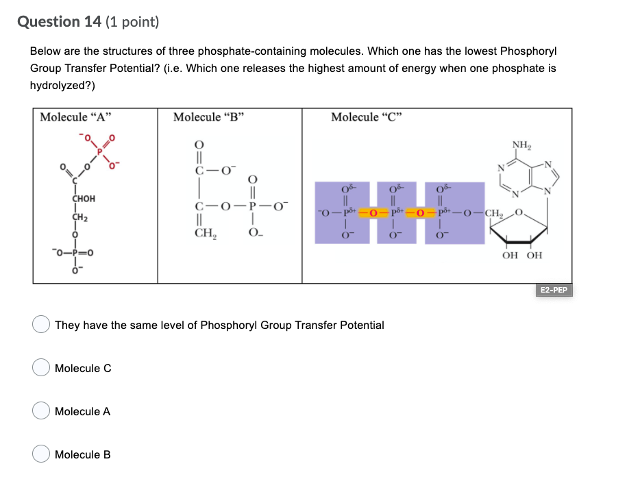 Solved Question 14 (1 point) Below are the structures of | Chegg.com