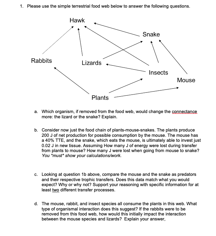 Solved 1. Please use the simple terrestrial food web below | Chegg.com