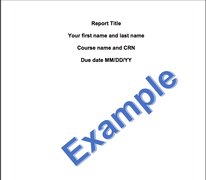 Assignment - Information Systems | Chegg.com