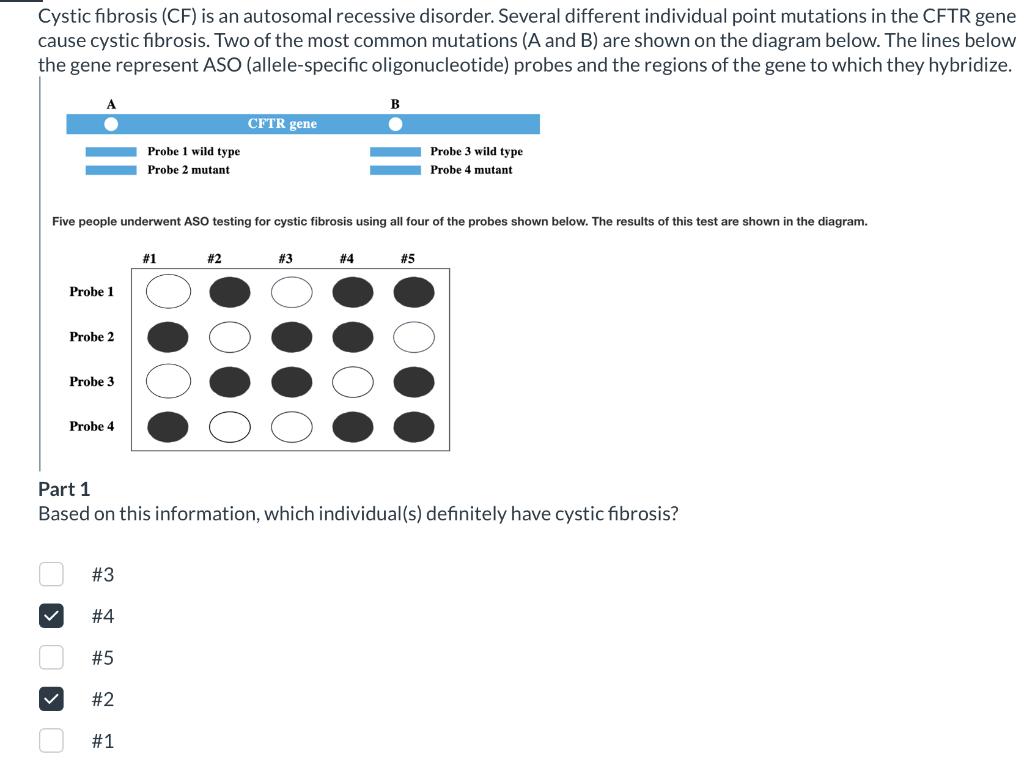 Solved Cystic fibrosis (CF) is an autosomal recessive | Chegg.com