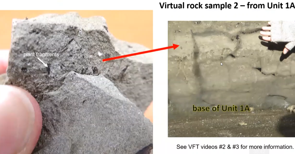 Solved C. Table of virtual rock sample descriptions - Fill | Chegg.com