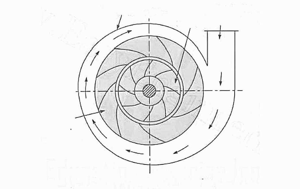 [Solved]: Mechanism of casing and runner in radial flow reac