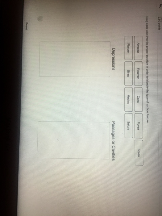 Solved Drag each label into the proper position In order to | Chegg.com