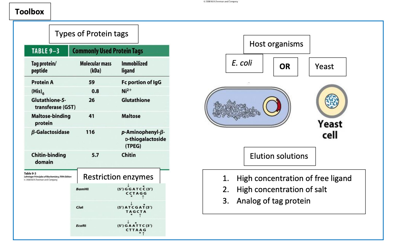 Solved this is a biochemistry question. please answer all | Chegg.com