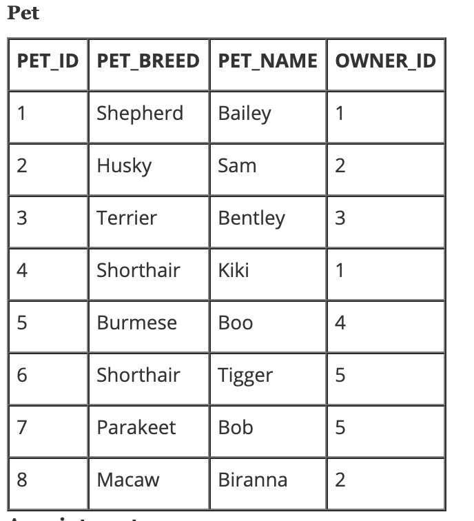 Solved Veterinarian Office Case Part 1 The veterinarian | Chegg.com