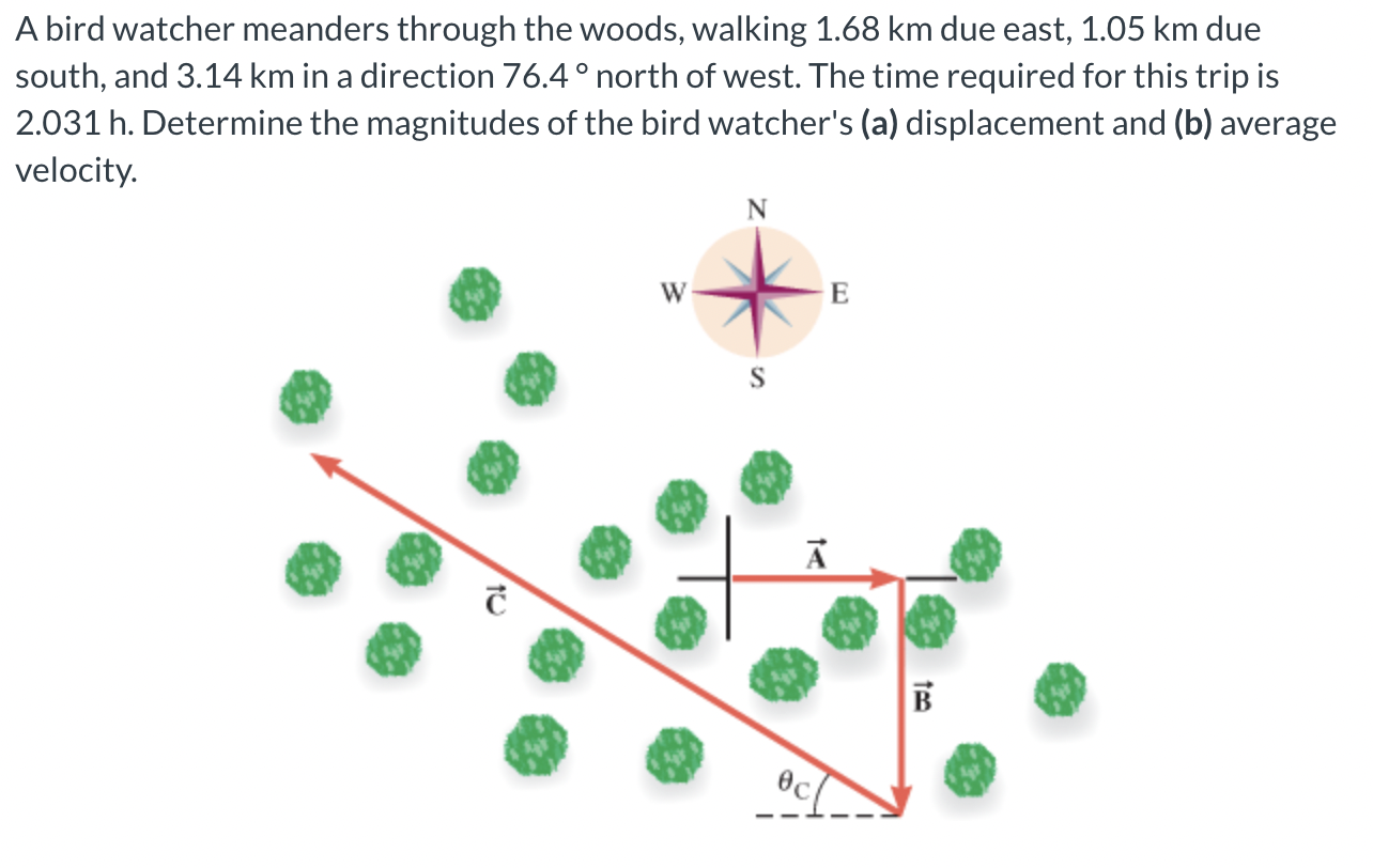 Solved A bird watcher meanders through the woods, walking | Chegg.com