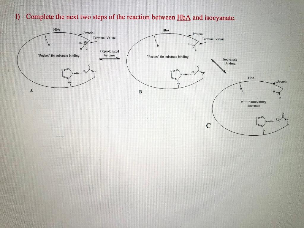 Solved Complete the next two steps of the reaction between | Chegg.com