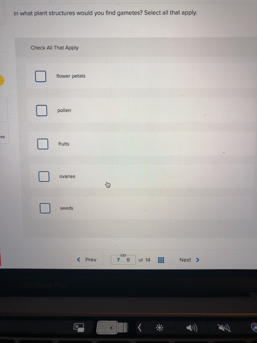 Solved Required information What plant structures contain | Chegg.com