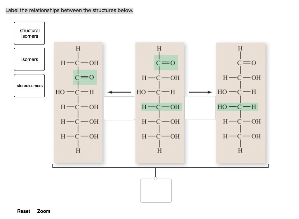 Solved Label the relationships between the structures below. | Chegg.com