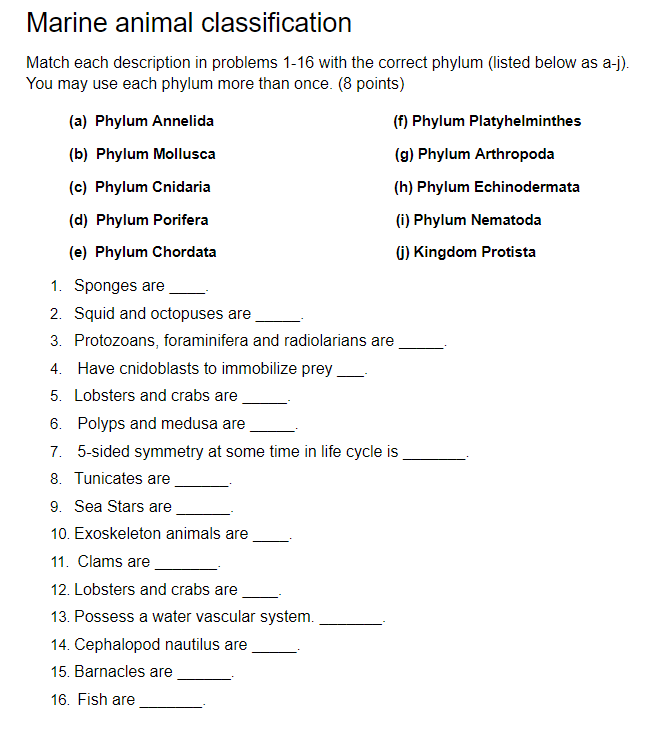 Solved Marine animal classification Match each description | Chegg.com